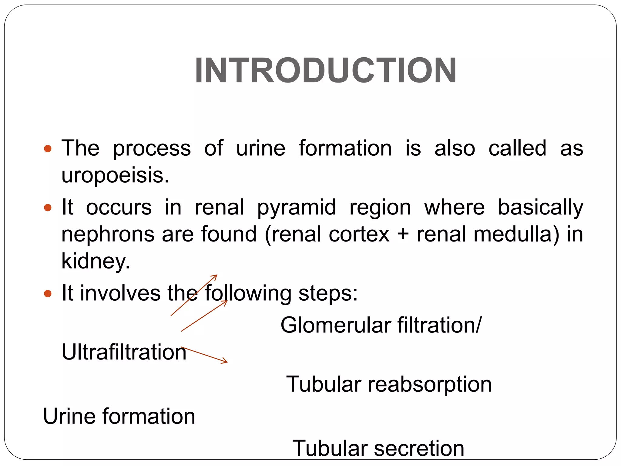 Physiology of Urine Formation | PPTX