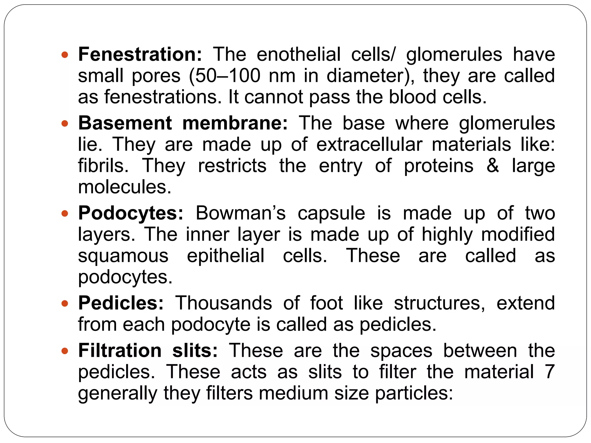 Physiology of Urine Formation | PPTX