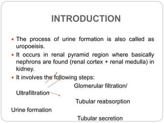 Physiology of Urine Formation | PPTX