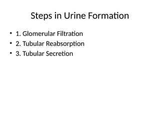 Urine_Formation_Simple_physiologPPT.pptx