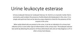 Urine leukocyte.pptx