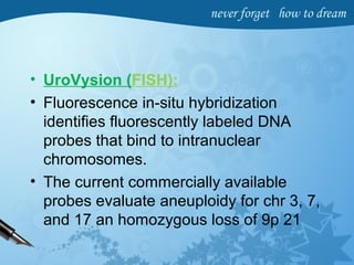 URINE CYTOLOGY AND URINARY MARKERS IN CA BLADDER | PPT
