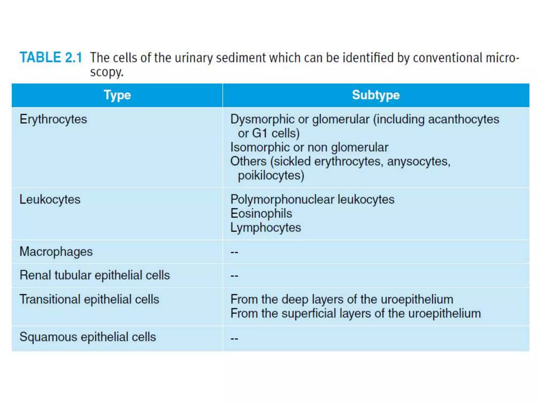 Urine microscopy.ppt