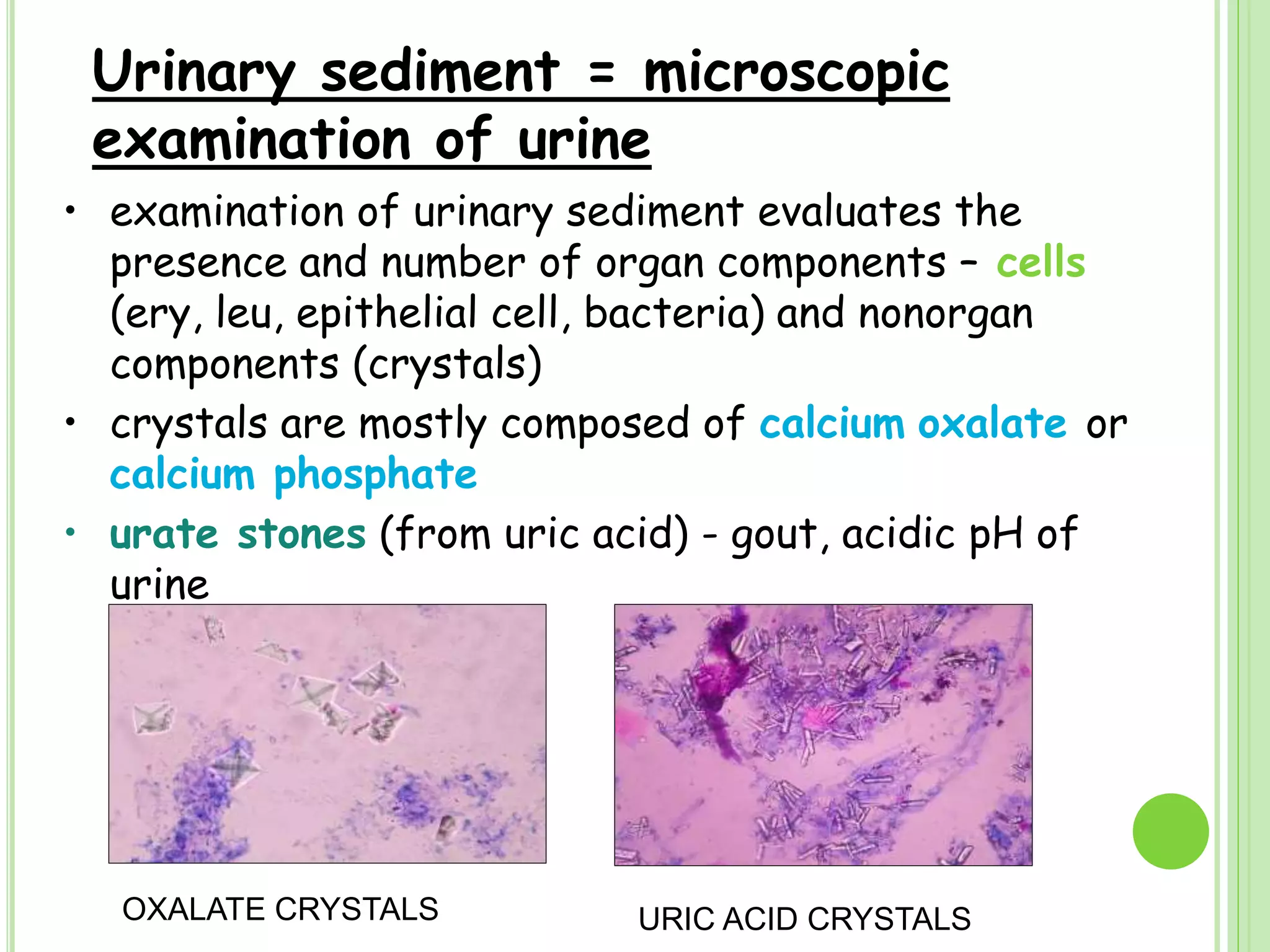 characteristics of urine | PPTX