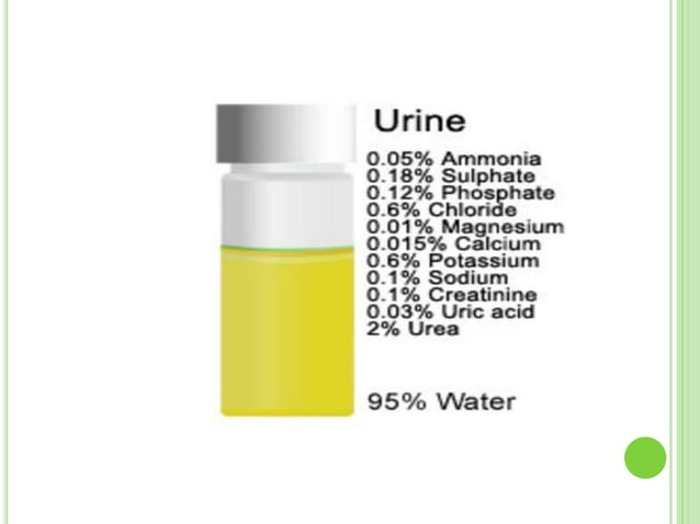 characteristics of urine | PPTX
