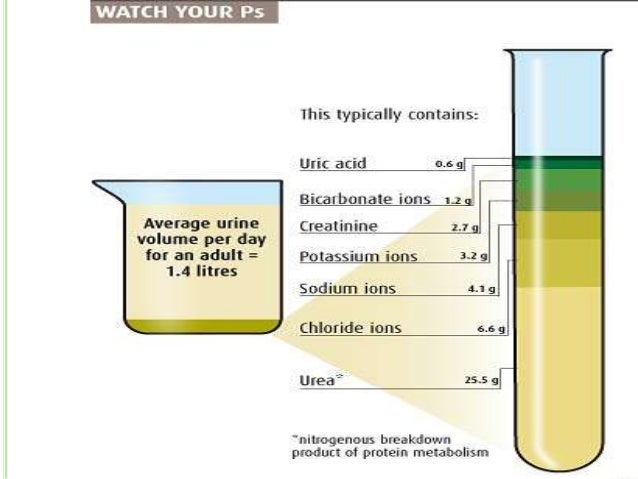 characteristics of urine