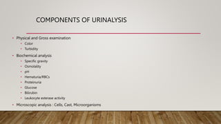 Urine routine and Microscopy.pptx