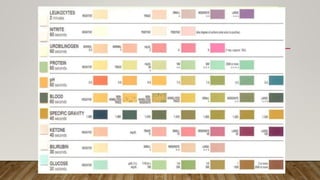 Urine routine and Microscopy.pptx