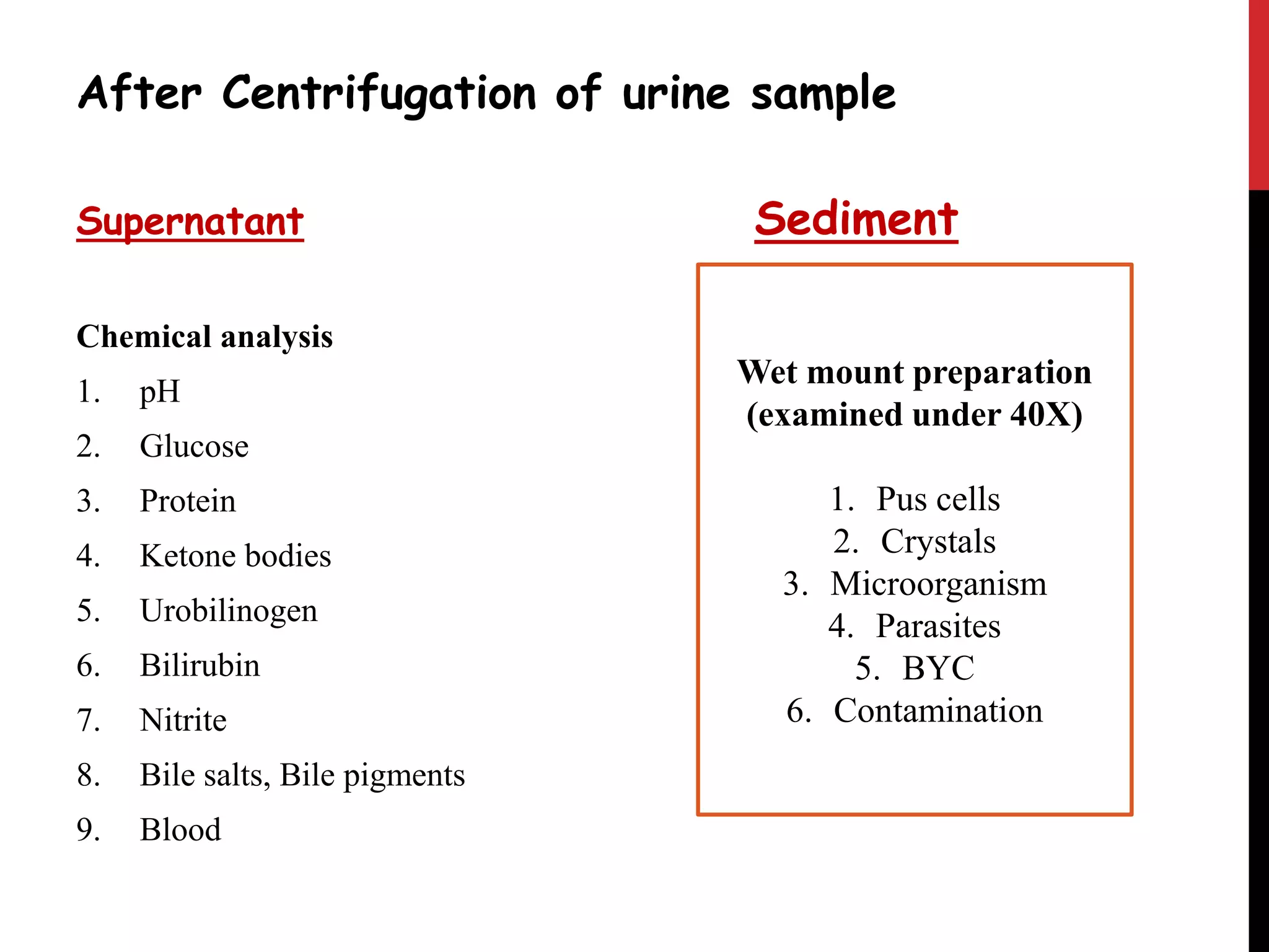 URINE SAMPLE processing.pptx