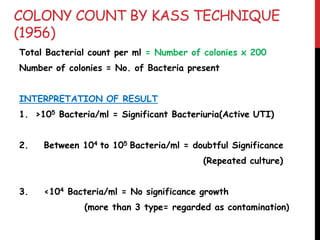 URINE SAMPLE processing.pptx