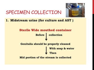 URINE SAMPLE processing.pptx