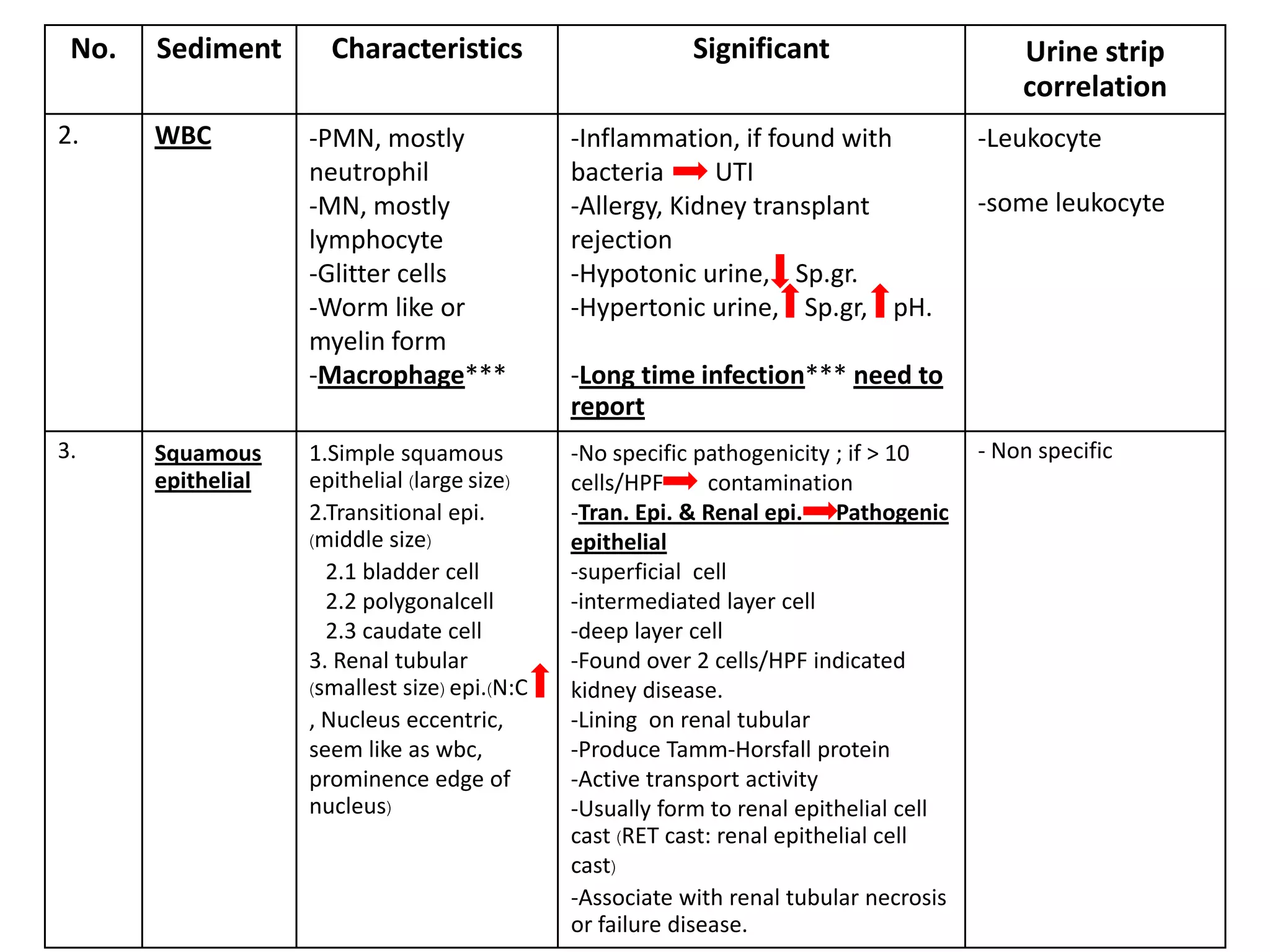 Urine sediment 55/Kridsada31 | PDF