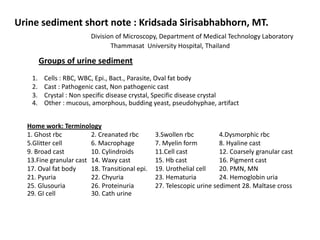 Urine sediment 55/Kridsada31 | PDF