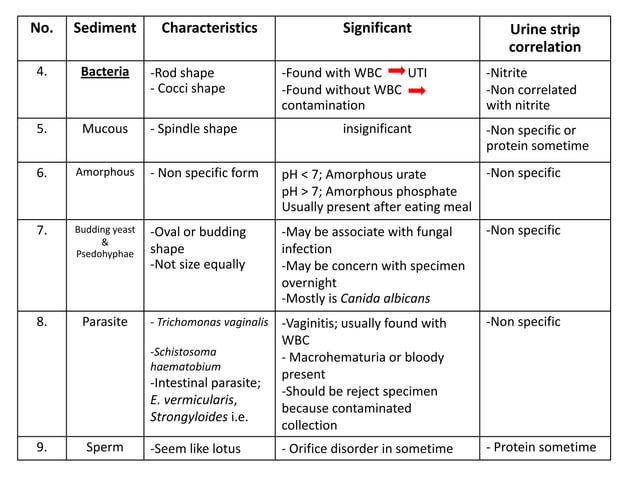 Urine sediment 55/Kridsada31 | PDF
