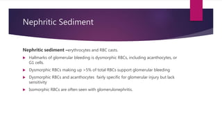 Urine sediment examination in the diagnosis and management | PPTX