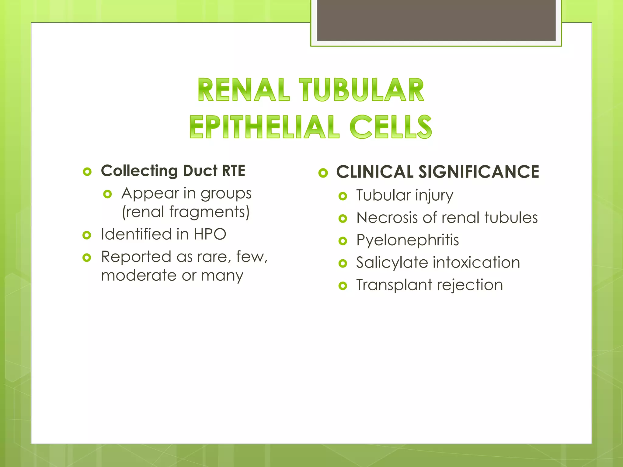 Urine sediments | PPTX