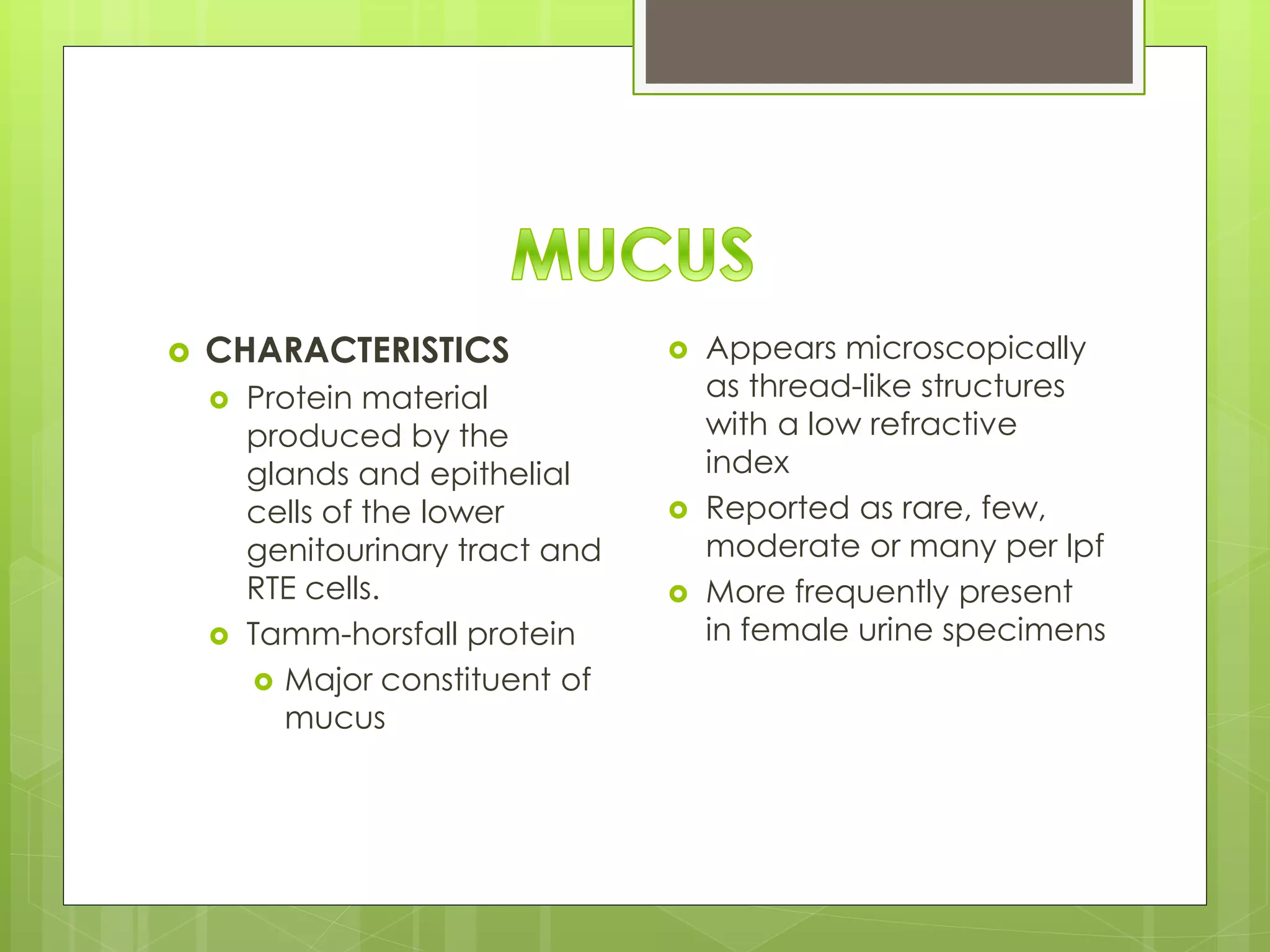 Urine sediments | PPTX
