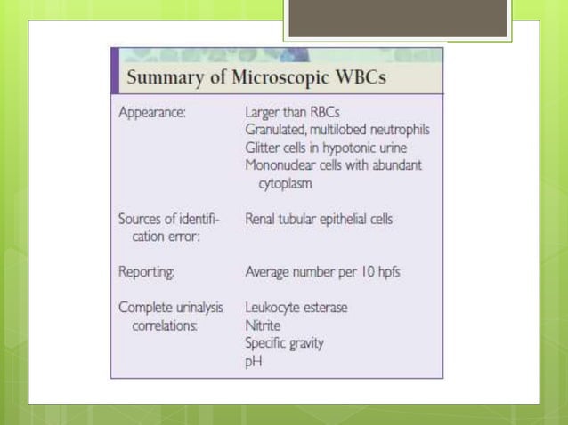 Urine sediments | PPTX | Medical Health