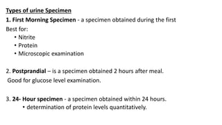 URINE SPECIMEN.pptx