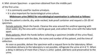 URINE SPECIMEN.pptx