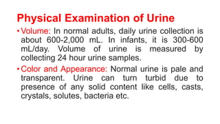 URINE & STOOL EXAMINATION.pptx