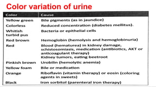 URINE & STOOL EXAMINATION.pptx