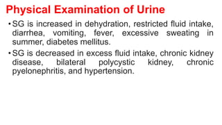 URINE & STOOL EXAMINATION.pptx