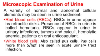 URINE & STOOL EXAMINATION.pptx