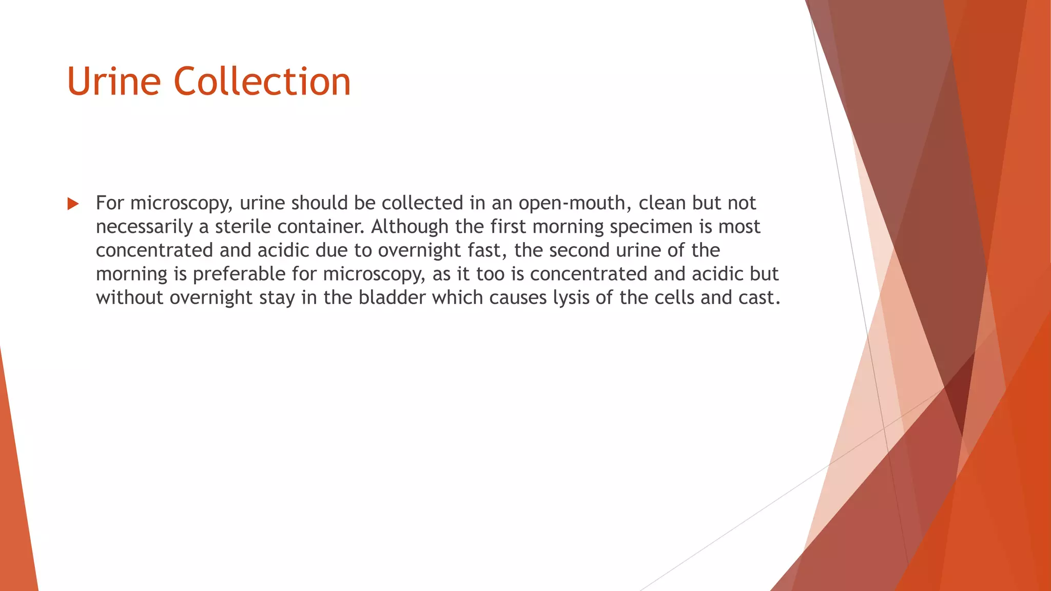 Urine Under Microscope | PPTX