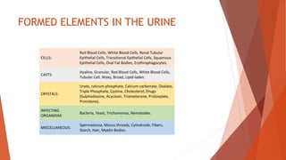 Urine Under Microscope | PPTX