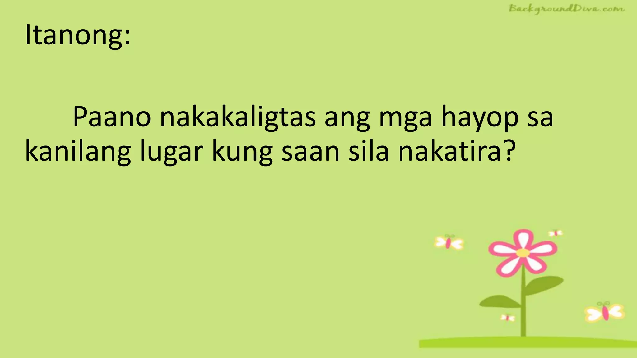 Uri ng Hayop Ayon sa Balahibo o Buhok.pptx