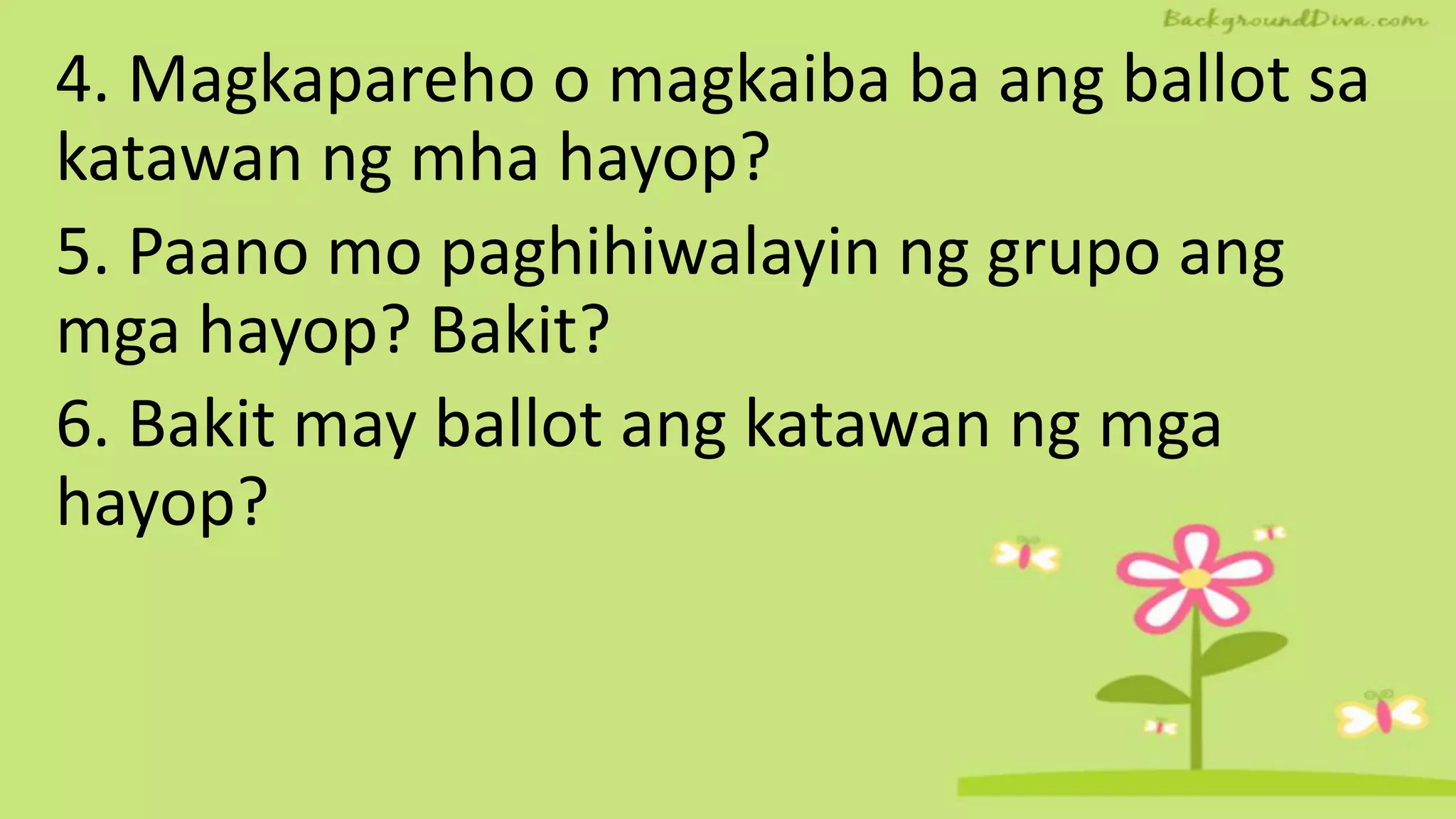 Uri ng Hayop Ayon sa Balahibo o Buhok.pptx