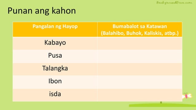 Uri ng Hayop Ayon sa Balahibo o Buhok.pptx
