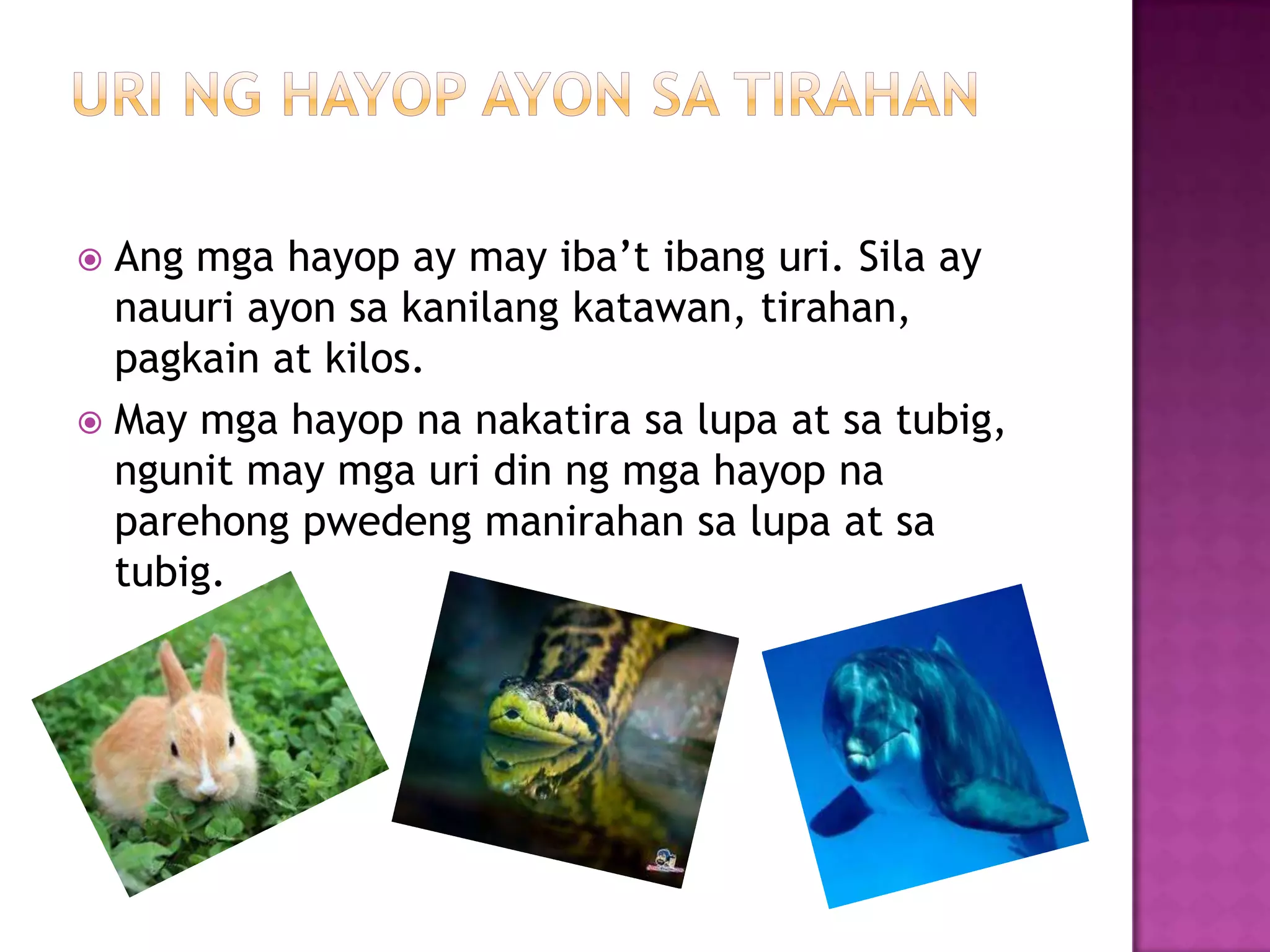 Uri ng hayop ayon sa tirahan | PPTX