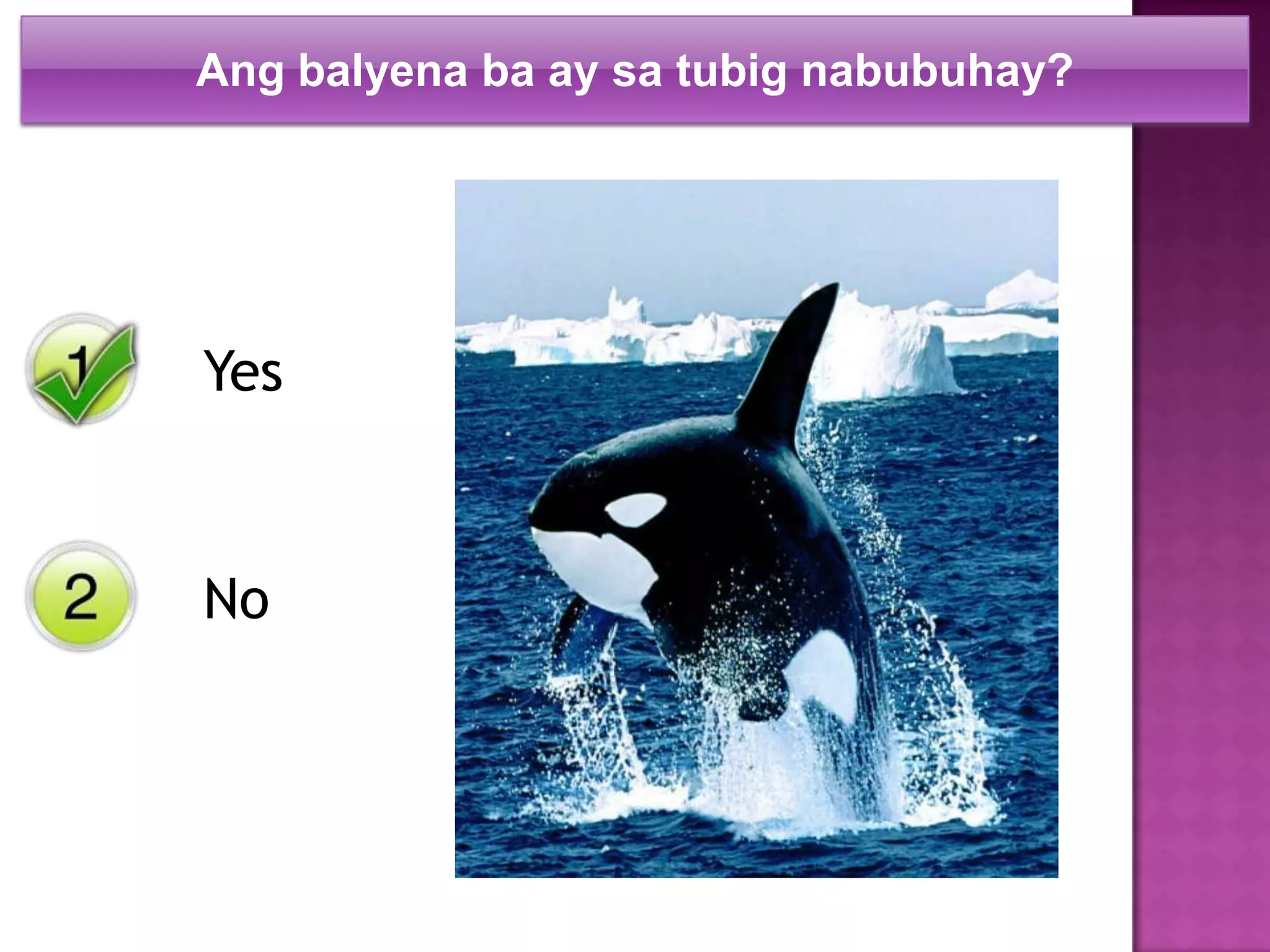 Uri ng hayop ayon sa tirahan | PPTX