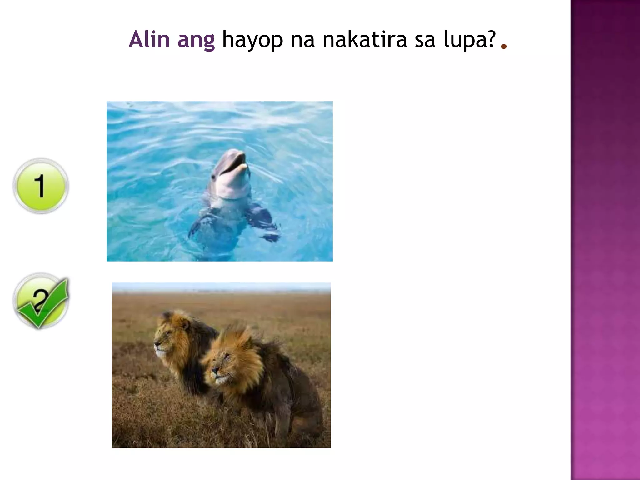 Uri ng hayop ayon sa tirahan | PPTX