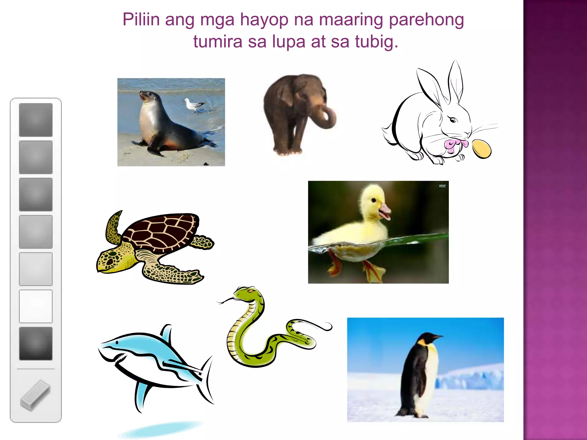 Uri ng hayop ayon sa tirahan | PPTX