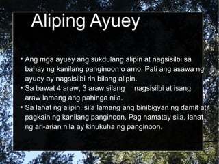 Uring panlipunan sa visayas | ODP