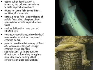 urinogenital system.pptx