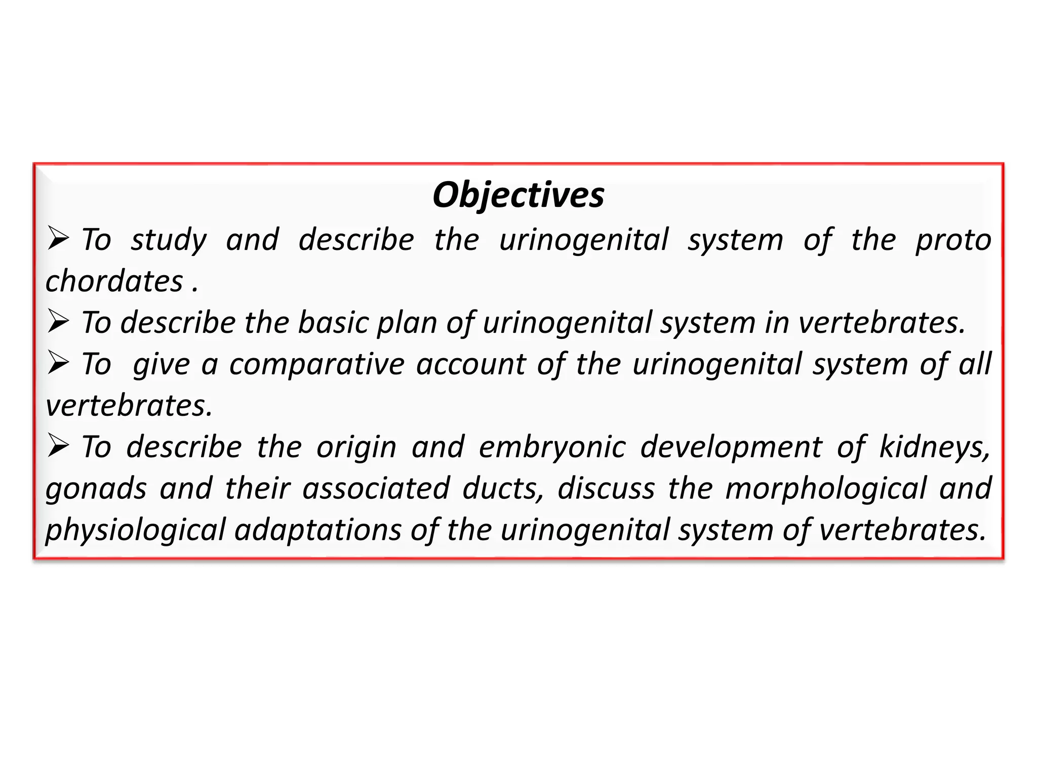Urino genitial system of vertebrates | PPTX