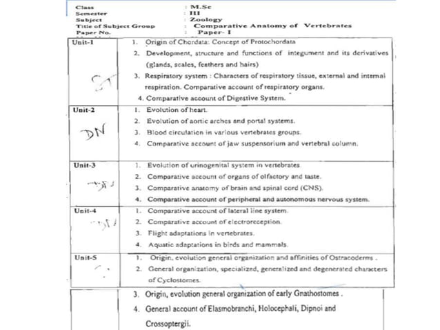 Urino genitial system of vertebrates | PPTX | Reproductive Health ...