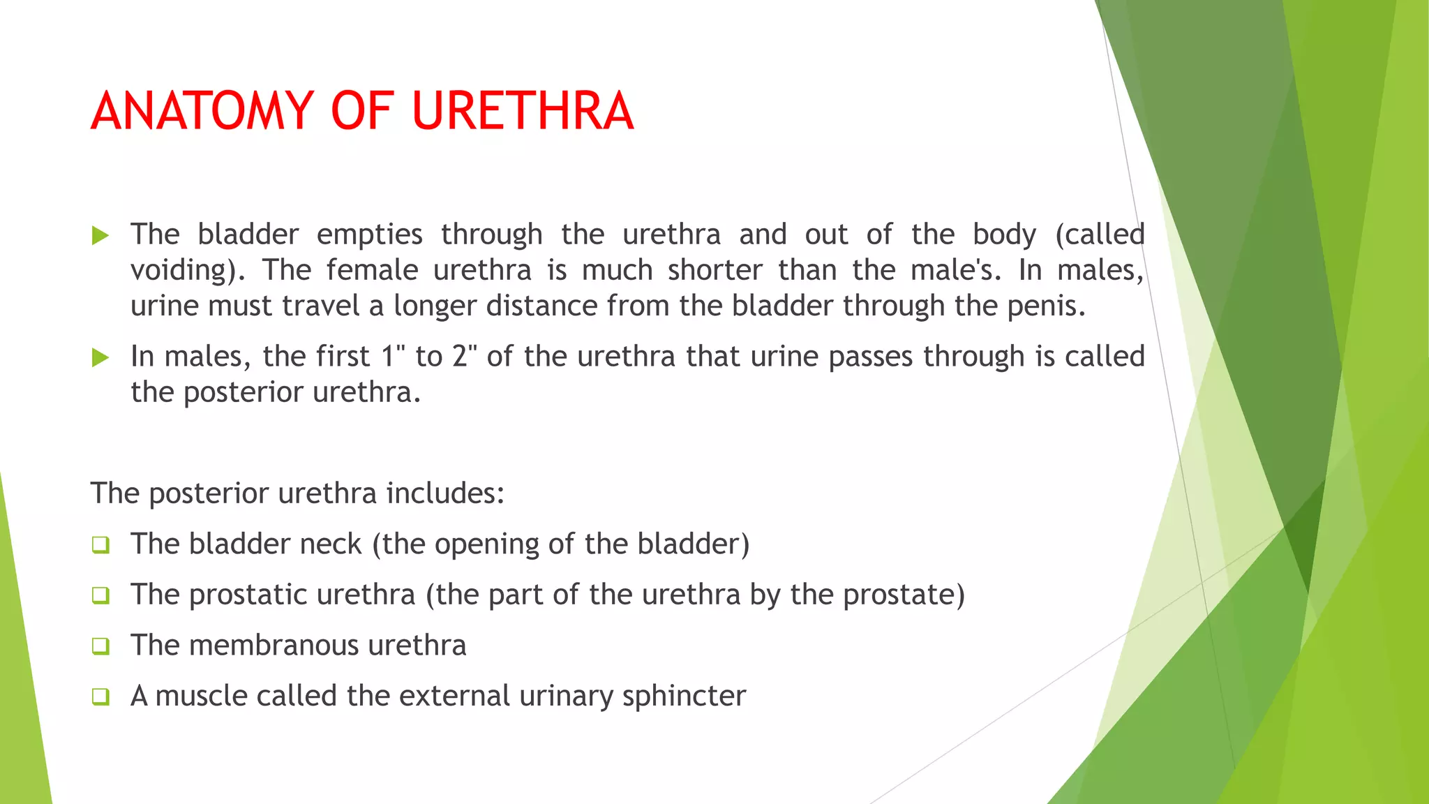Urethral stricture | PPTX
