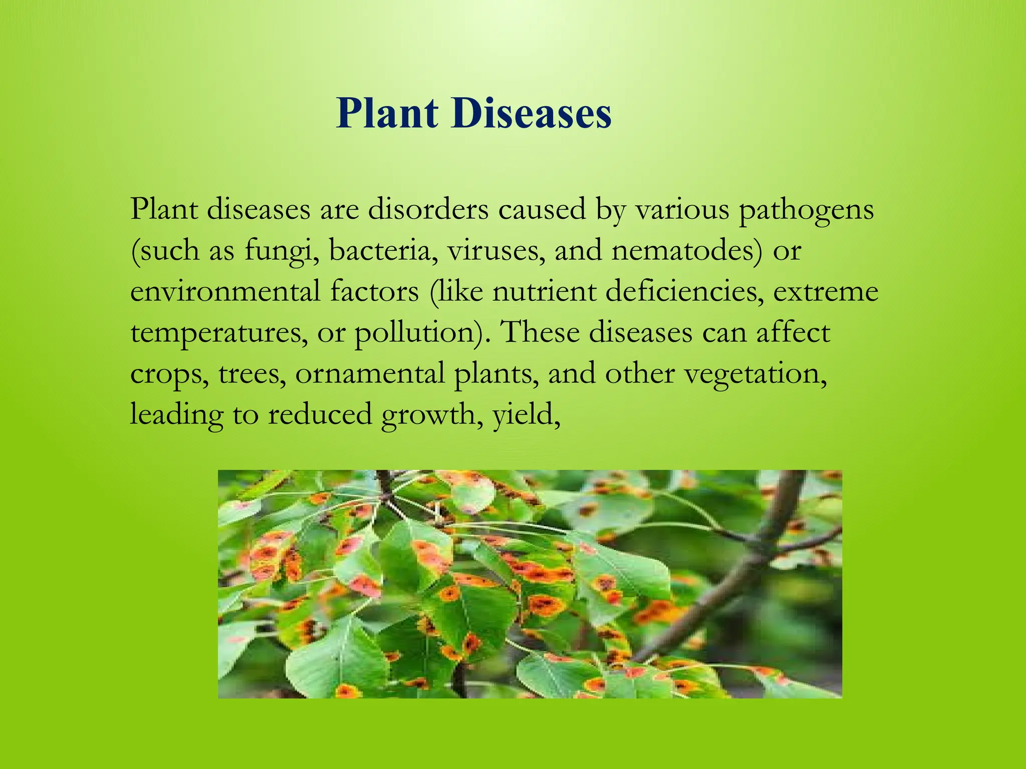 Plant Disease Symptoms Pathogens and it's Control .pptx