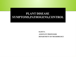 Plant Disease Symptoms Pathogens and it's Control .pptx