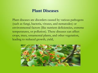 Plant Disease Symptoms Pathogens and it's Control .pptx