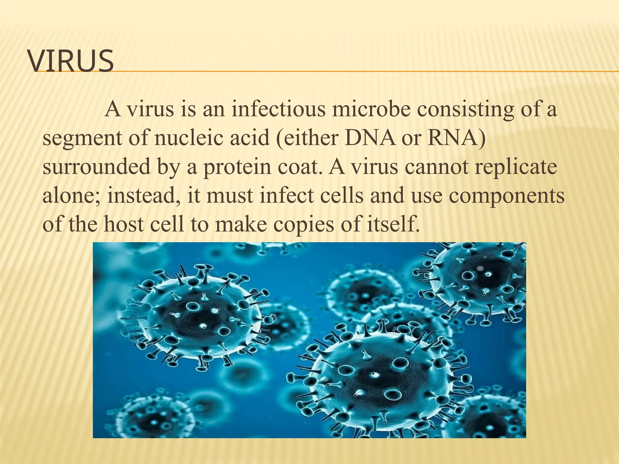 Classification of virus ICTV,LHT,Baltimore | PPTX