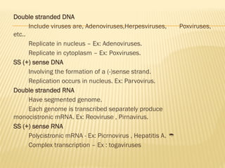 Classification of virus ICTV,LHT,Baltimore | PPTX