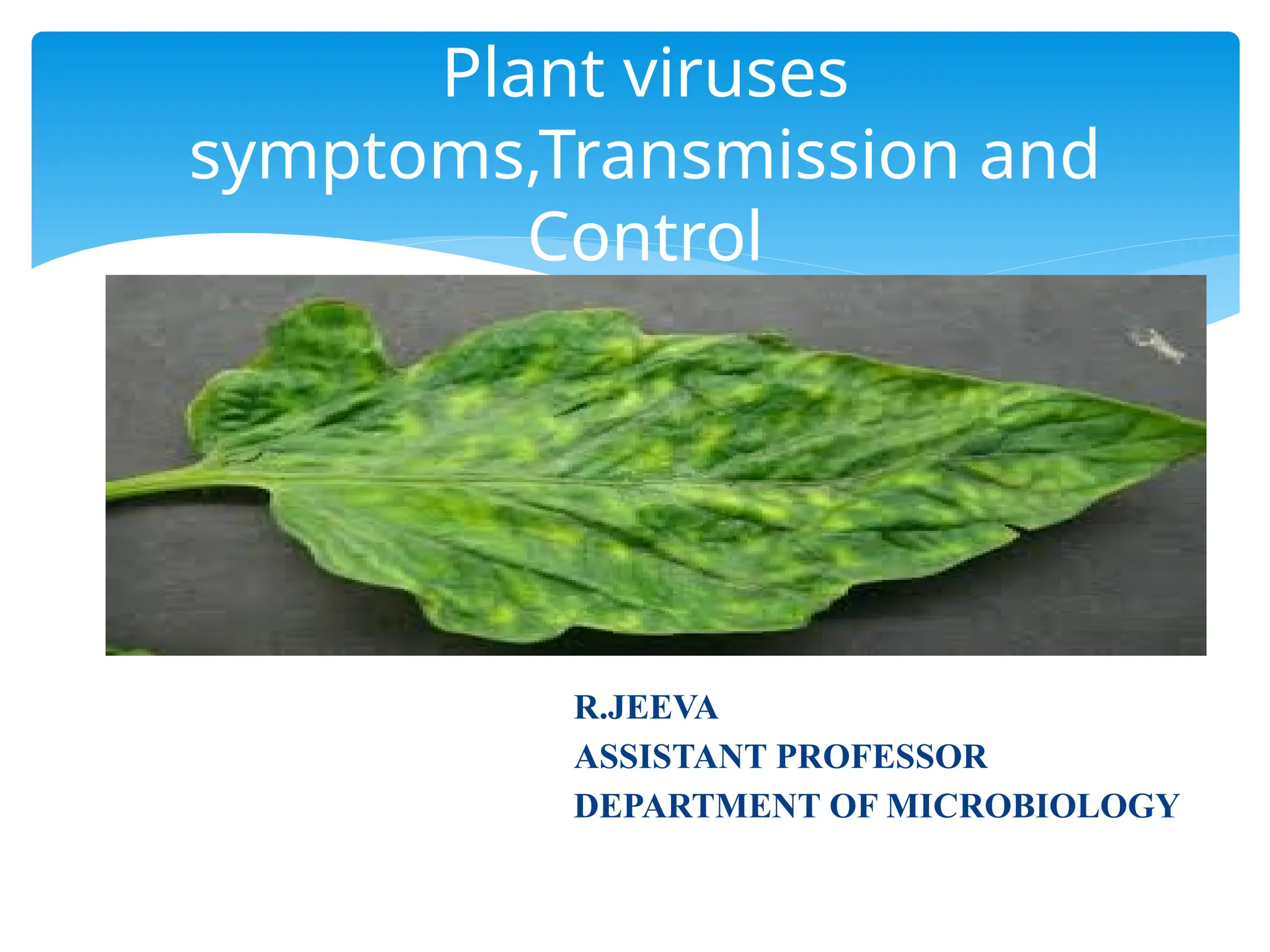 Plant viruses symptoms,Transmission and Control | PPT