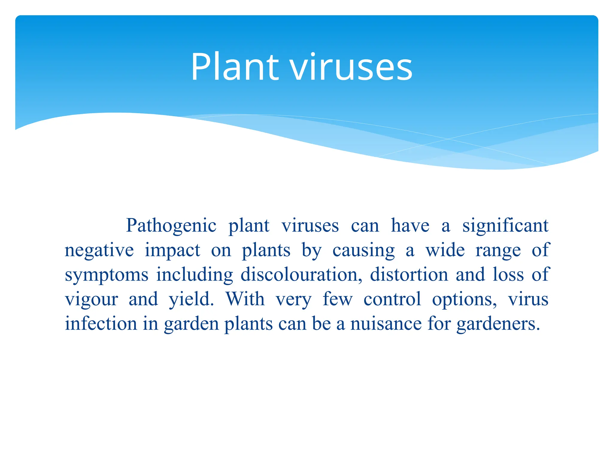 Plant viruses symptoms,Transmission and Control | PPT