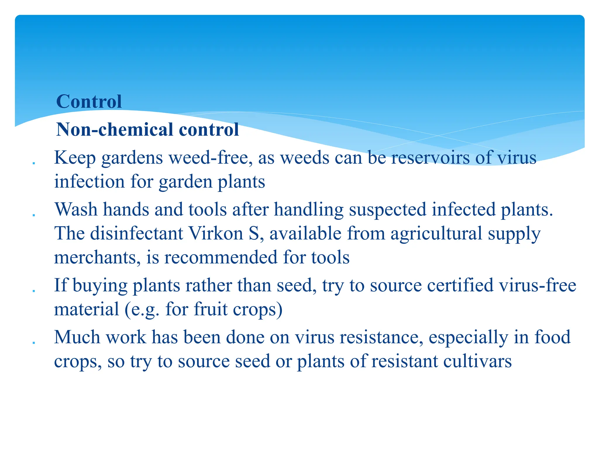 Plant viruses symptoms,Transmission and Control | PPT